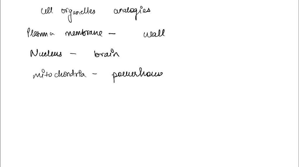 SOLVED: An analogy is a comparison between two things, their structure ...