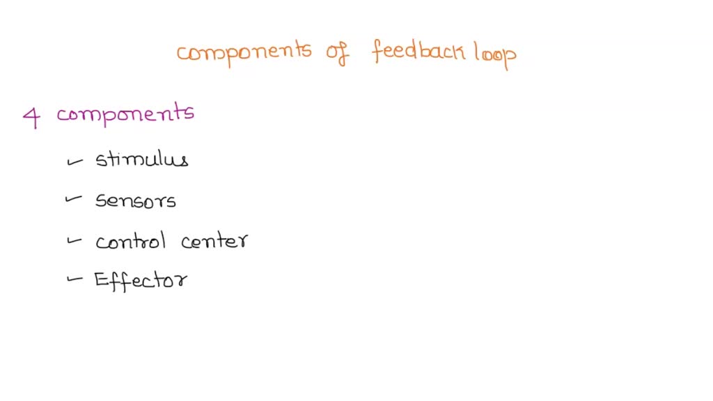 SOLVED: Explain the components of a feedback loop and discuss what ...