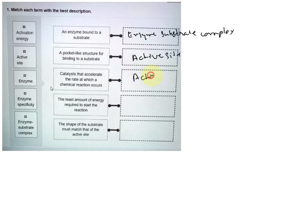 SOLVED: Match each term with the best description: Activation energy An ...