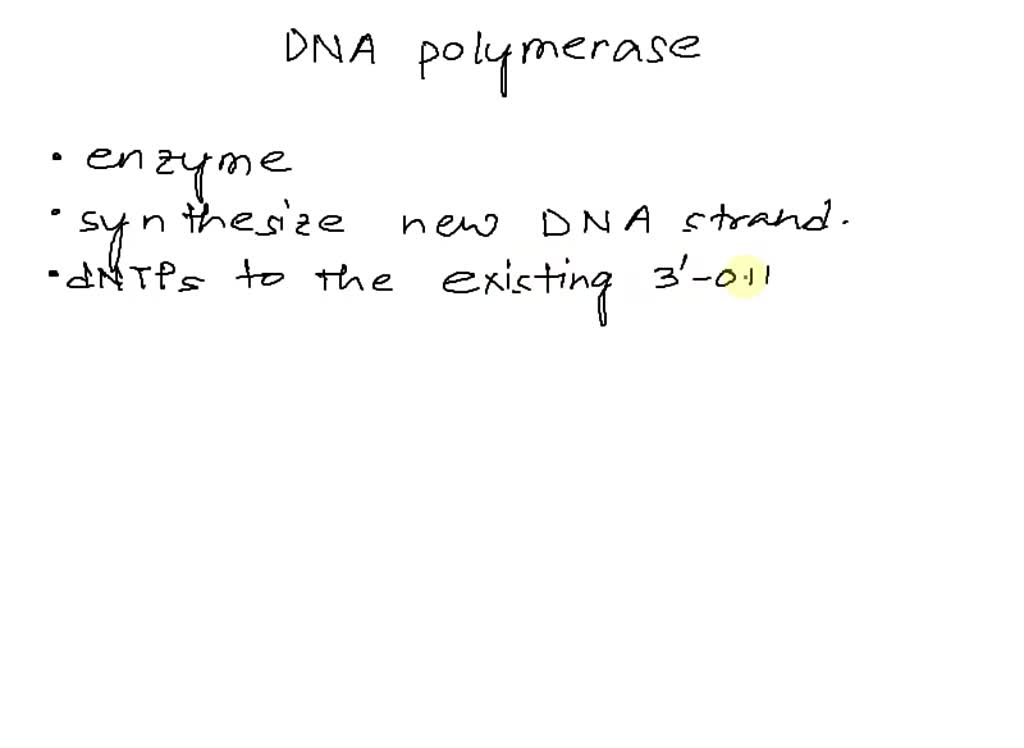 SOLVED: c) helicase adheres directly to the origin of replication in a ...