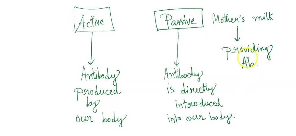SOLVED: had chickenpox as a child; my niece received the what type of ...