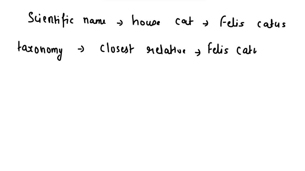 SOLVED: Which animal is the house cat closest to