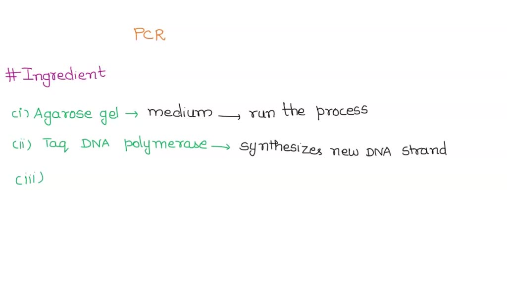 SOLVED: 1) Describe the ingredients of a PCR reaction. List different ...