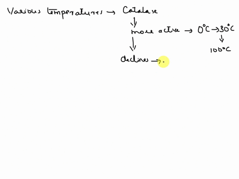 Catalase is an enzyme that turns hydrogen peroxide into...