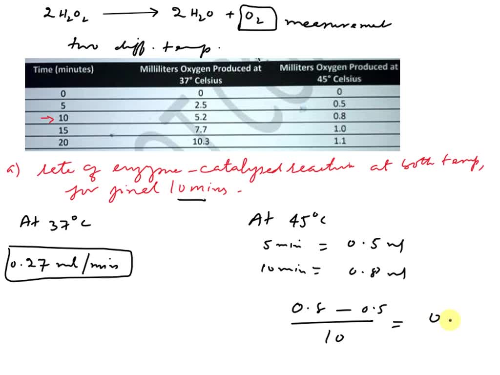The enzyme catalase breaks down hydrogen peroxide into water and oxygen ...
