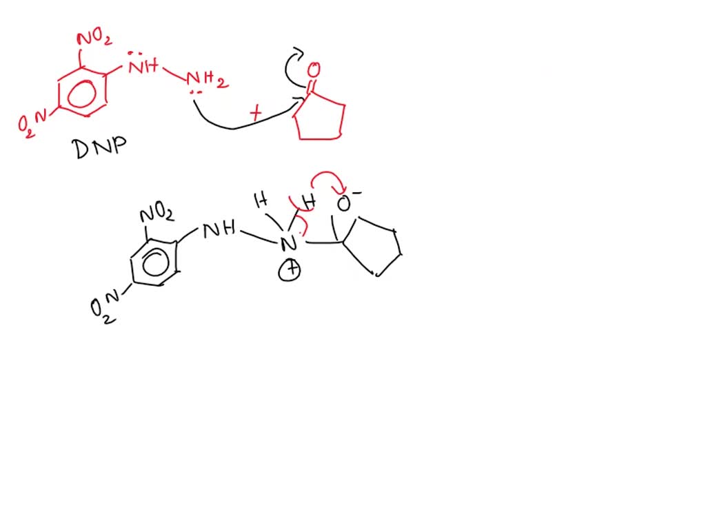 SOLVED: Write the reaction mechanism for cyclopentanone + 2,4 ...