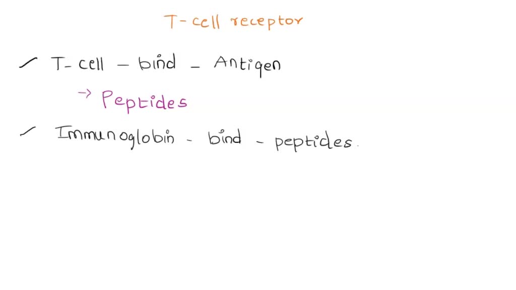 VIDEO solution: - What happens after antigen recognition? - Types of ...