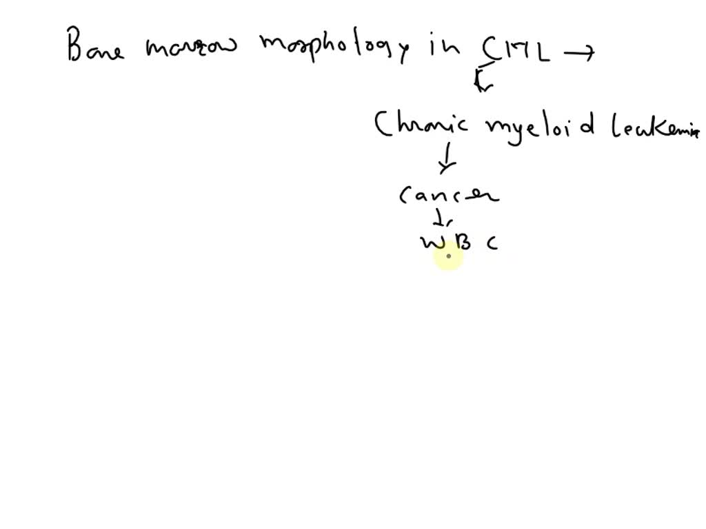 Solved What Is Characteristic Of The Bone Marrow Morphology In Cml