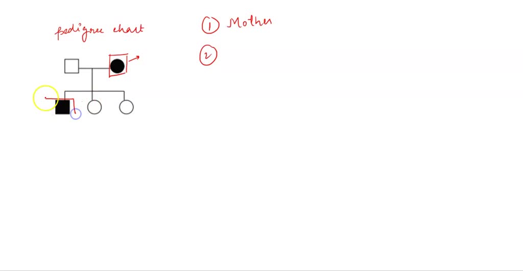 SOLVED: A pedigree chart uses specific symbols to indicate presence or ...