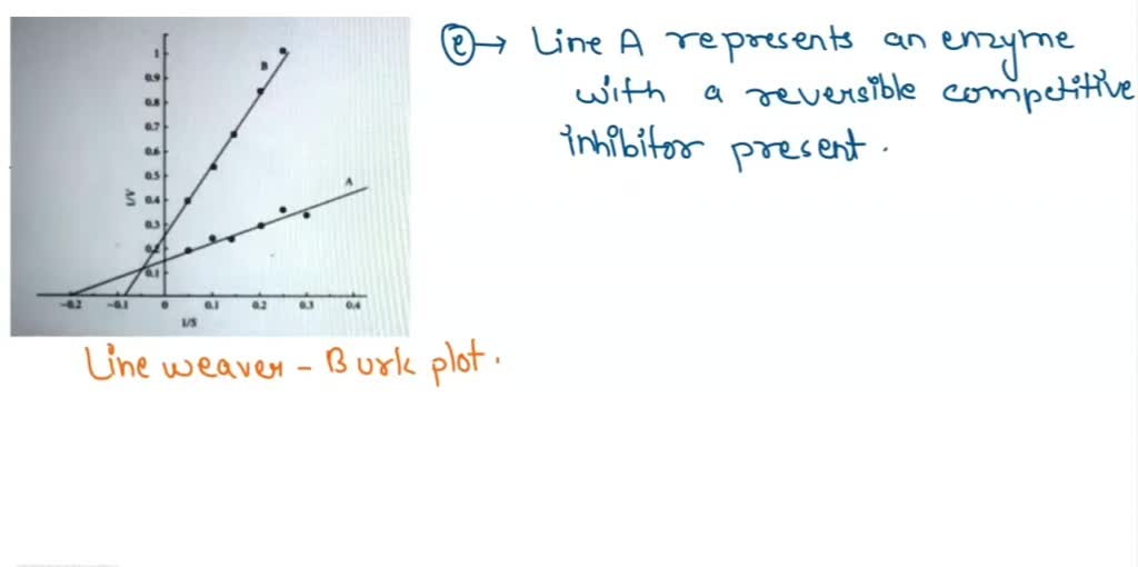 SOLVED: The following Lineweaver-Burk plot illustrates two kinetics ...