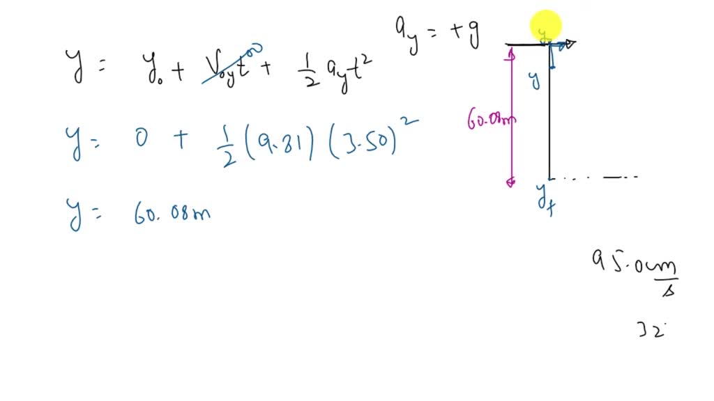 Two Crickets Chirpy And Milada Jump From The Top Of A Vertical Cliff Chirpy Jumps