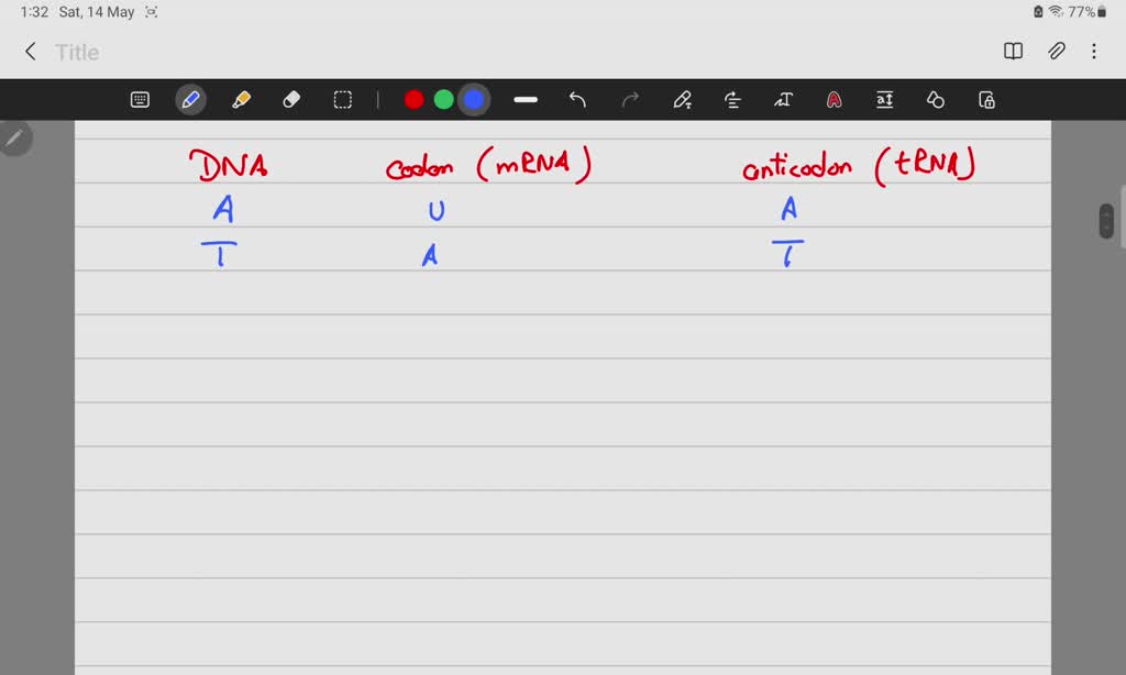 Solved A Particular Triplet Of Bases In The Coding Sequence Of Dna Is Aaa The Anticodon On The 