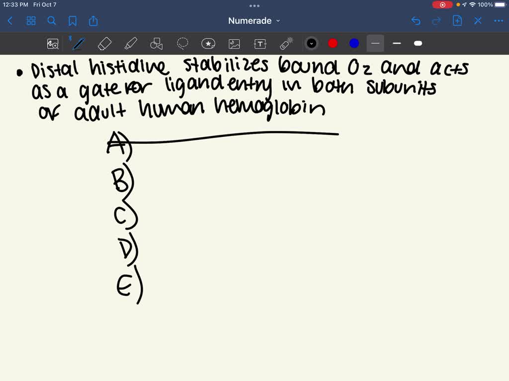 SOLVED: The role of the distal Histidine (His E7) in a globin's oxygen ...