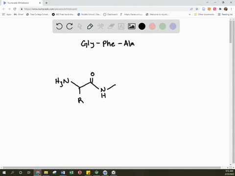 SOLVED: Draw the tripeptide Gly-Phe-Ala