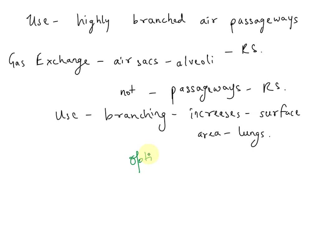 SOLVED: QUESTION 5 The highly branched air passages of the respiratory ...