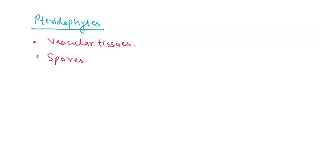 SOLVED: Arrange the seedless vascular plants, angiosperms, non-vascular ...