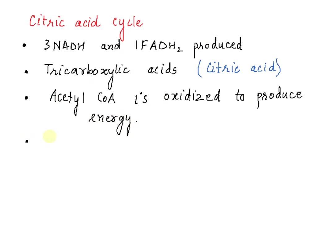 SOLVED: Which process connects glycolysis and the citric acid cycle? a ...