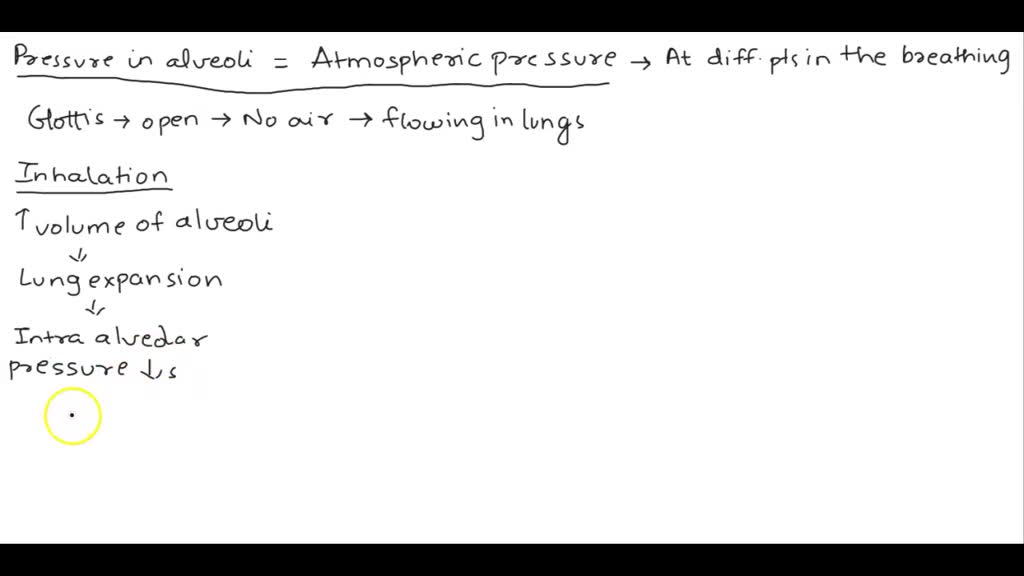 SOLVED: (Ch: 17.3; Ventilation) When is the pressure in the alveoli equal to atmospheric ...