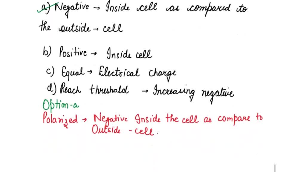SOLVED: Question 10 1pts Polarized cells are: are more negative inside ...