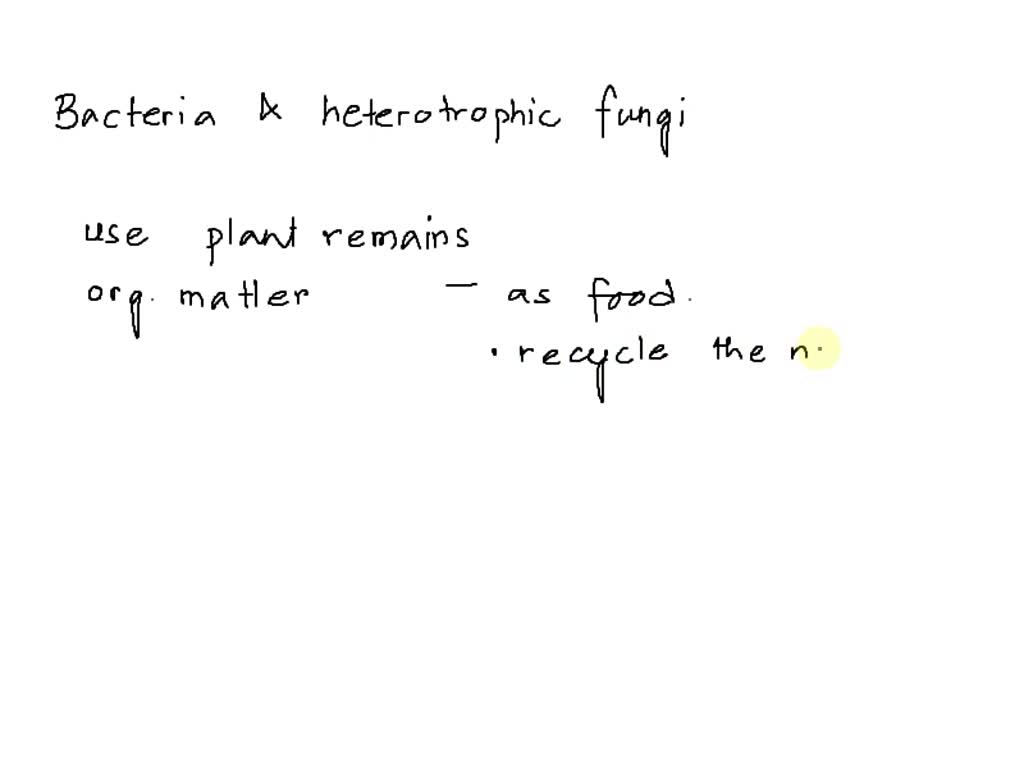 SOLVED: Question 37 (1 point) Bacteria and heterotrophic soil fungi ... SOLVED: Question 37 (1 point) Bacteria and heterotrophic soil fungi ...