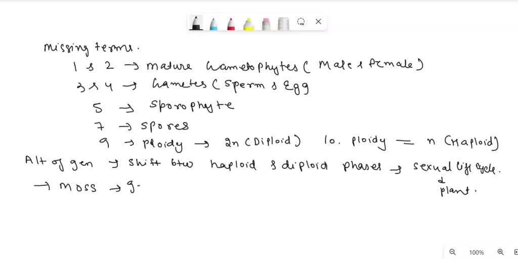 SOLVED: "Plant Alternation of Generations in Mosses" pts) Fill in the ...