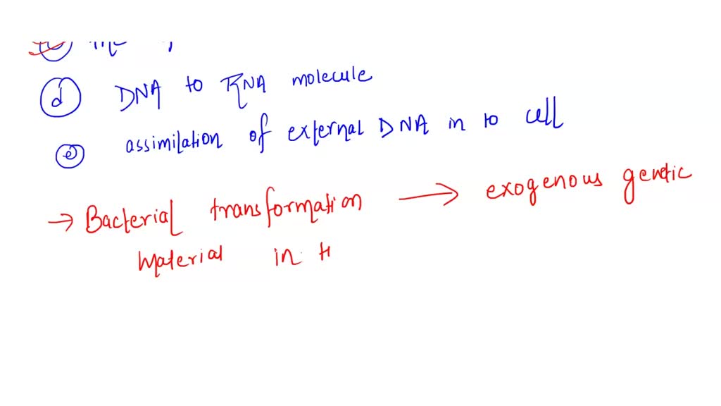 SOLVED: The conversion of A to B illustrates how carbacephem ...