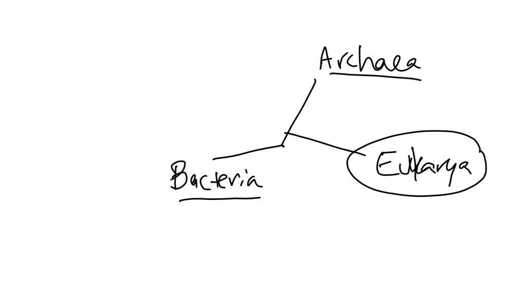 SOLVED: What was used to classify everything into three domains? SOLVED: What was used to classify everything into three domains?