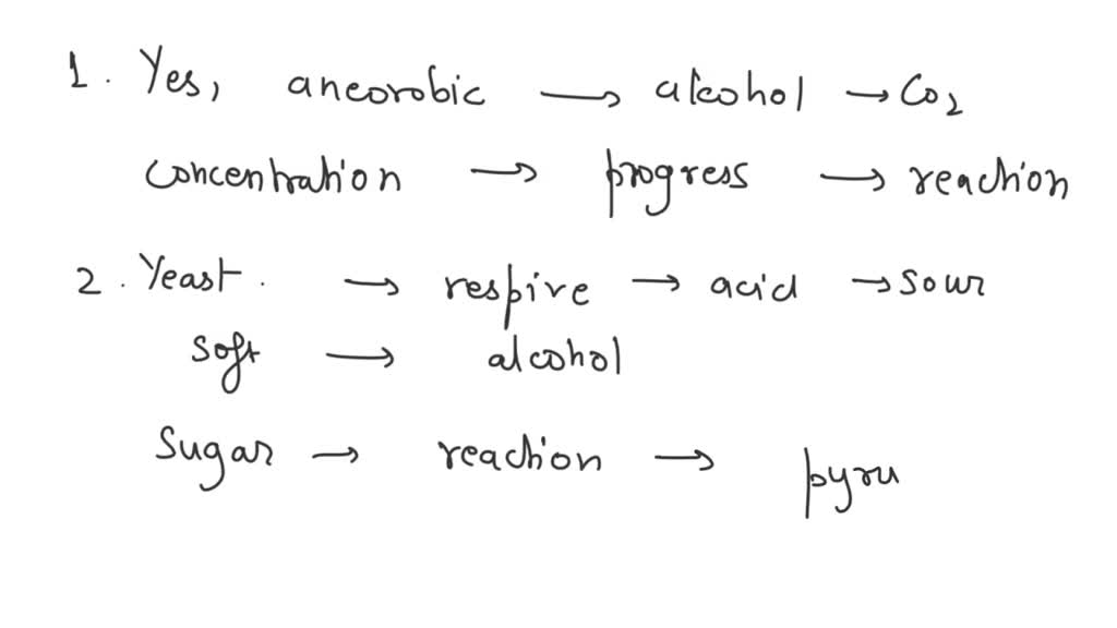 SOLVED: Discussion Conclusion Describe all observations that ...