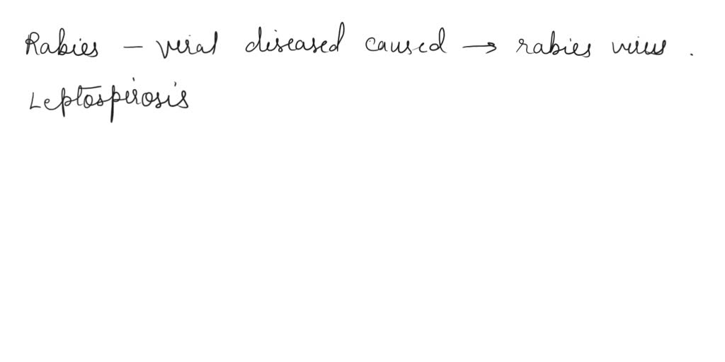 15. Very small acellular structures, only visible with a powerful ...
