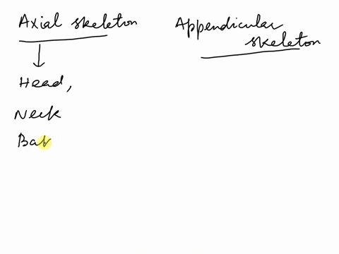 Drag and drop the components of the Axial and Appendicular...