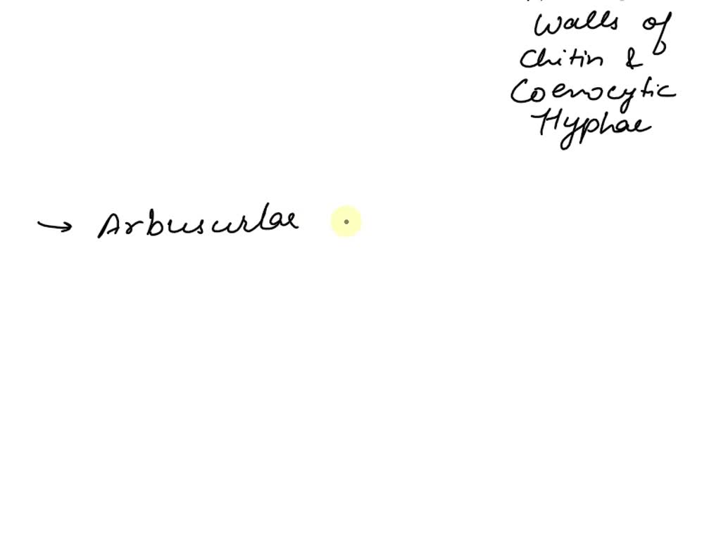 SOLVED: Additional question (2 points - The lab syllabus uses an old ...