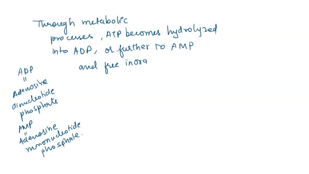 SOLVED: ATP Complete the following statements about the role of ATP by selecting the appropriate ...