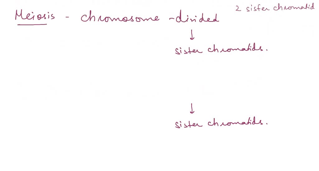 SOLVED: Question 5 1pts Ifa cell contains 20 chromosomes, how many ... SOLVED: Question 5 1pts Ifa cell contains 20 chromosomes, how many ...