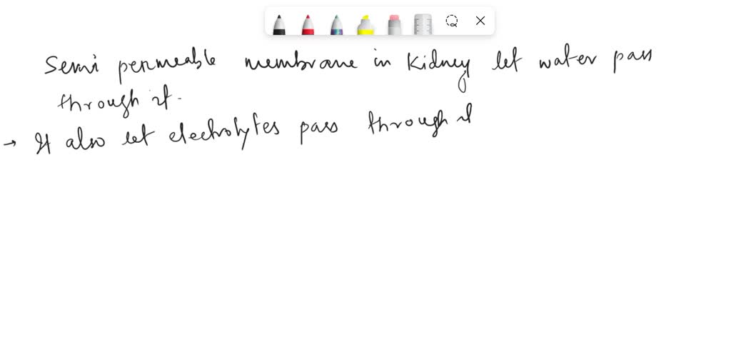 SOLVED: A renal tubular epithelial cell that reabsorbs NaCl must have ...