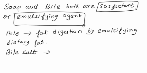 1 what do soap and bile have in common how does bile aid in...