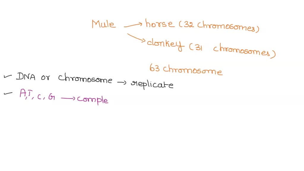 SOLVED: A mule is the offspring of a horse and a cu Uu donkey: While ...
