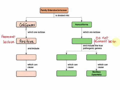 Move the terms Into the correct empty boxes to complete this concept ...