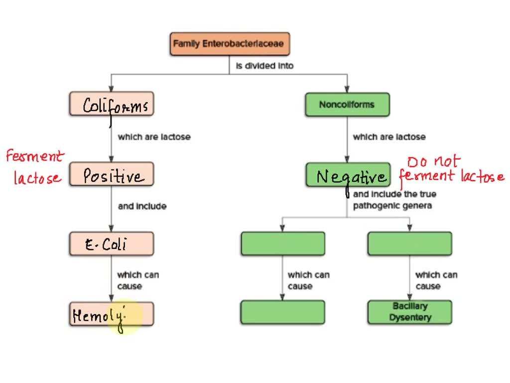 SOLVED: Please provide a concept map of Dehydration. Include the ...