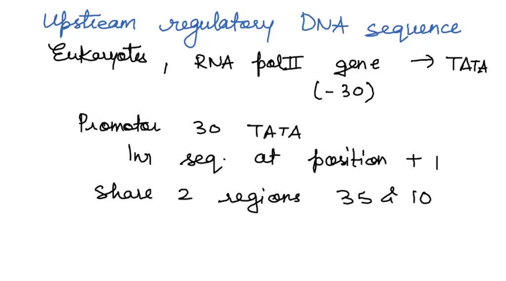 SOLVED: 7 points: Draw and label the upstream regulatory DNA sequence ...