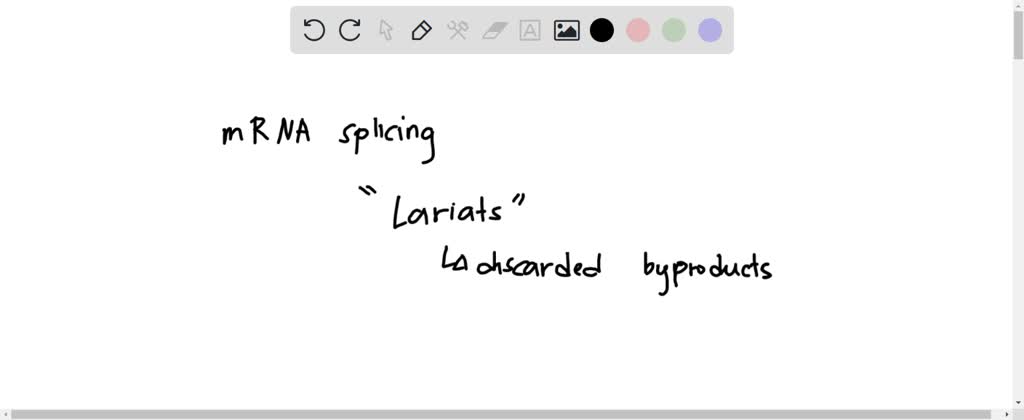 SOLVED: 'The lariat in mRNA splicing refers to? a) the spliced DNA ...