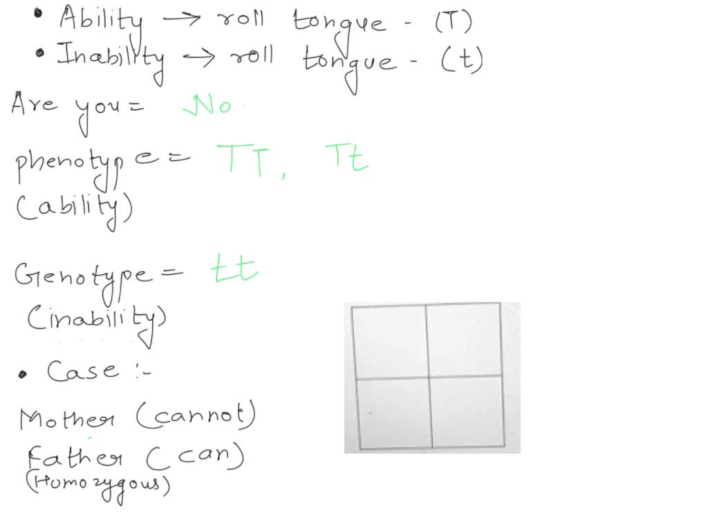 SOLVED: 'the tonguee ability to roll the genotypes of two parents for ...