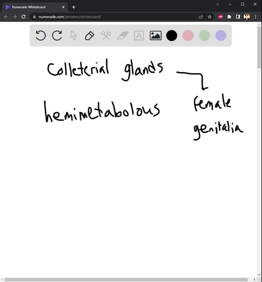 SOLVED: Statement a: Secretion of colleterial gland forms the egg case ...