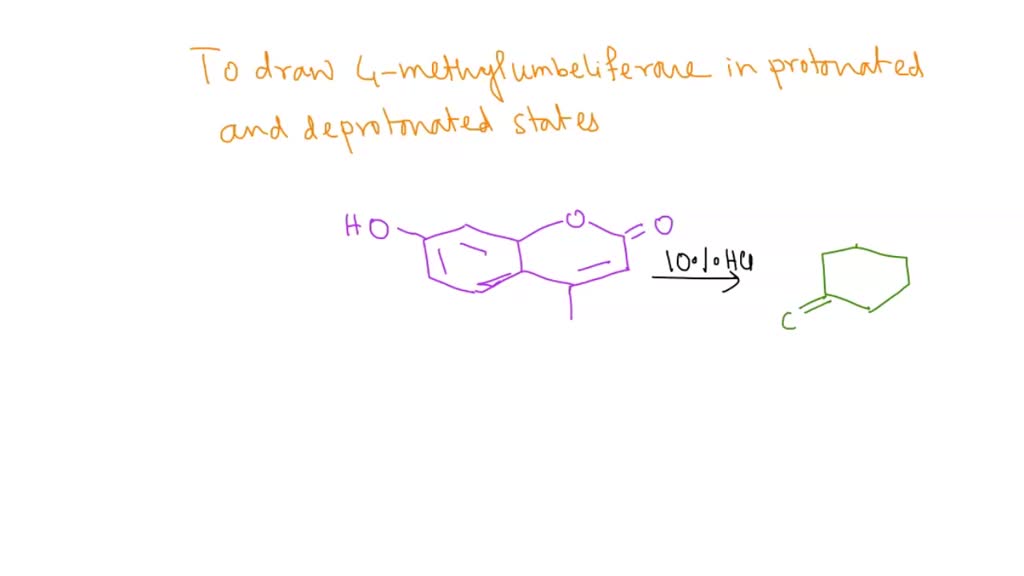 SOLVED: Draw 4-methylumbelliferone in its protonated and deprotonated ...