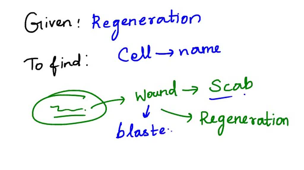 SOLVED: '15. What is proud flesh? A. Good healing wound tissue B. Fluid ...