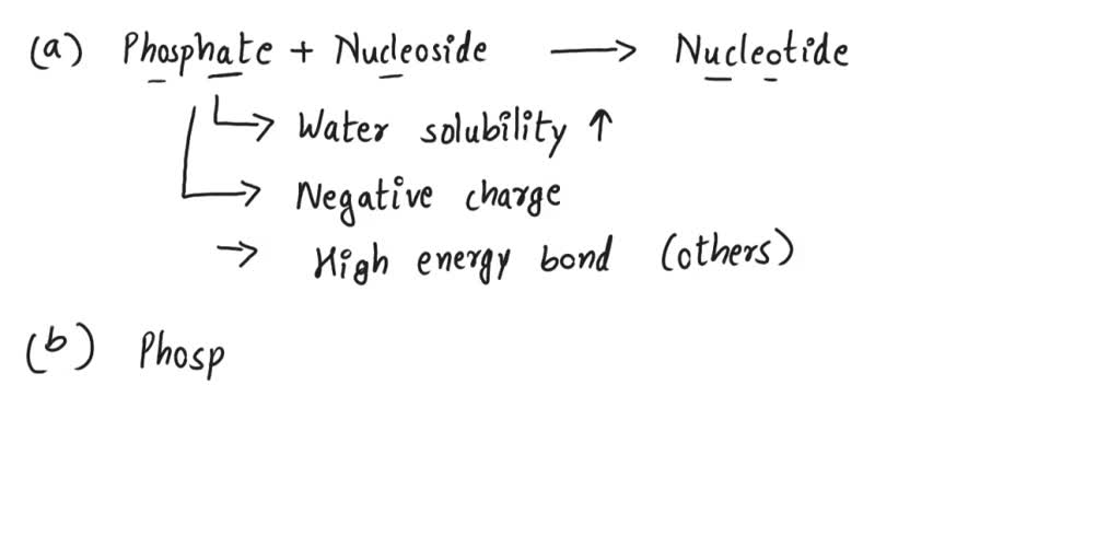 SOLVED: Phosphate groups are integral parts of nucleotides, with the ...