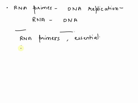 rna primer constructed during dna replication needs to be replaced ...