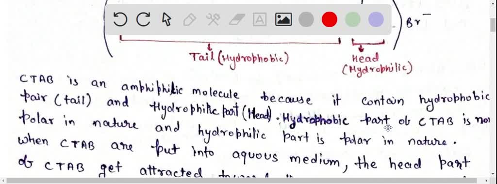 SOLVED: Explain how the molecular structure of a CTAB molecule allows ...