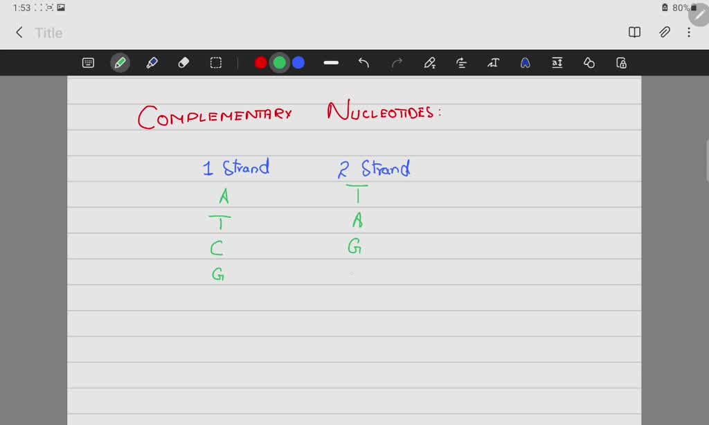 SOLVED: "Replication Practice Directions: Complete the strands below ...