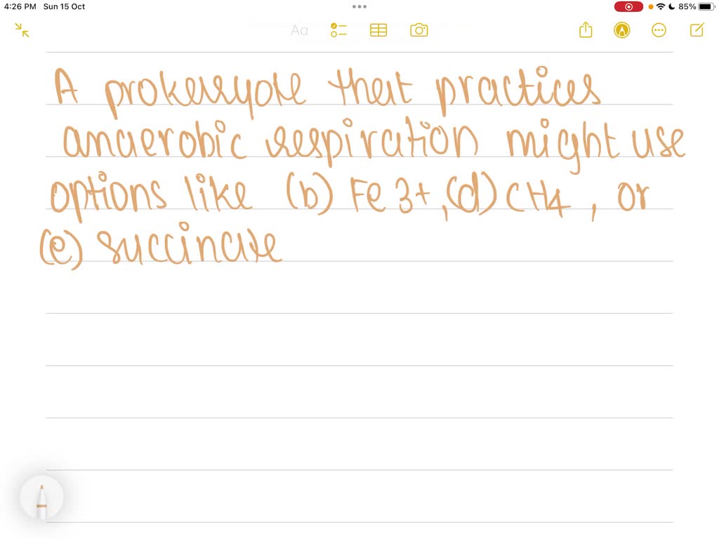 SOLVED: A prokaryote that practices anaerobic respiration might use ...