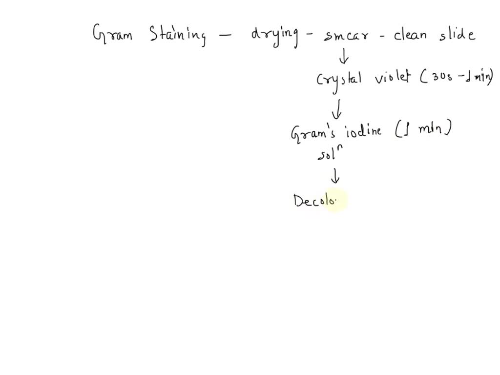 Move the reagents into the figure to illustrate the correct sequence when conducting a Gram ...
